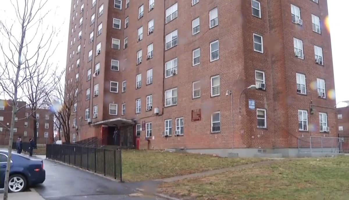 Edenwald Bronx, NY Private Investigator | TIO Square