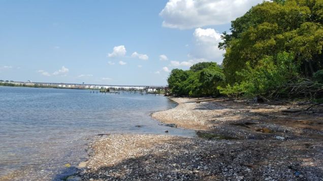 Tottenville Beach Staten Island, NY Private Investigator | TIO Square